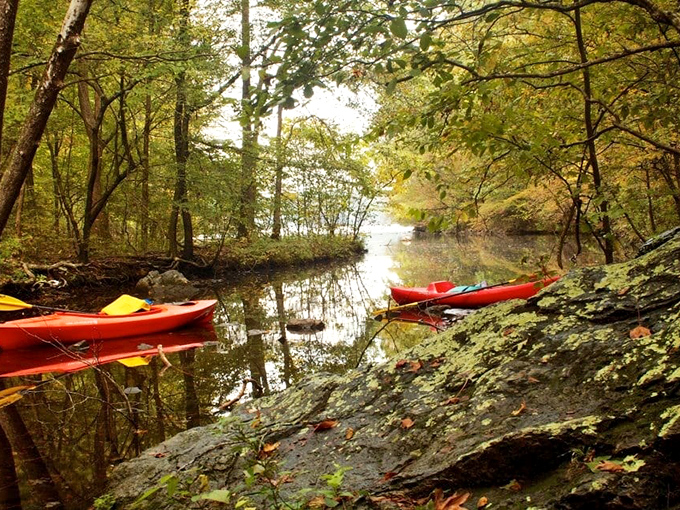 Kayaks waiting patiently at nature's doorstep, ready to deliver you to places Google Maps can't reach.