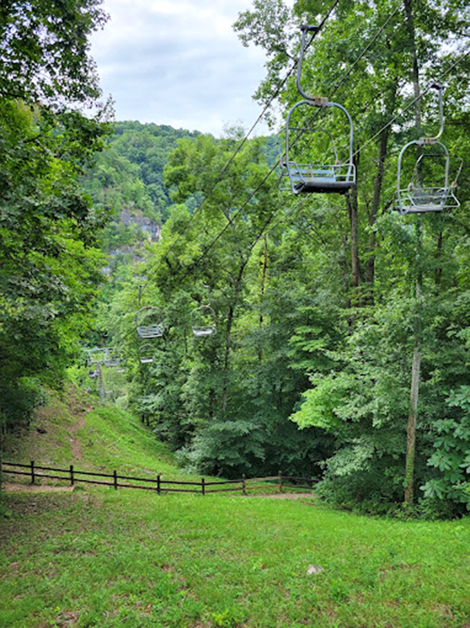 The chairlift dangles like a string of pearls through the forest canopy, offering both thrills and spectacular views on the descent.