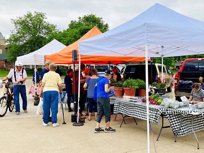 The Dragonfly bistro brings a splash of blue to downtown, with sidewalk seating perfect for people-watching while enjoying coffee that won't require a second mortgage. 