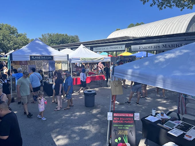 Farmers markets in Lockhart aren't just shopping—they're social events where neighbors catch up while pretending they're just there for the produce.