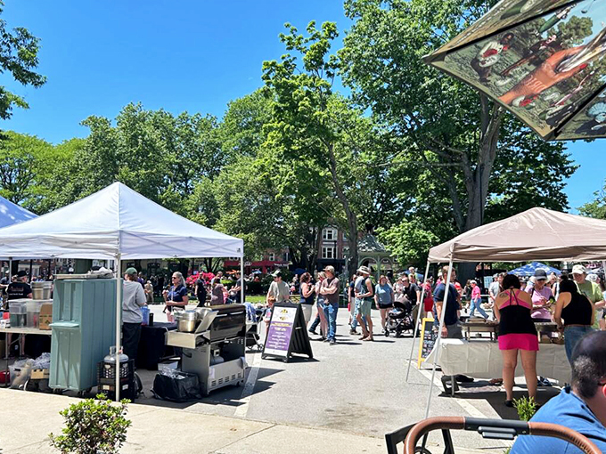 The farmers' market transforms Central Square into a community living room. Fresh produce, friendly faces, and not a chain store in sight.