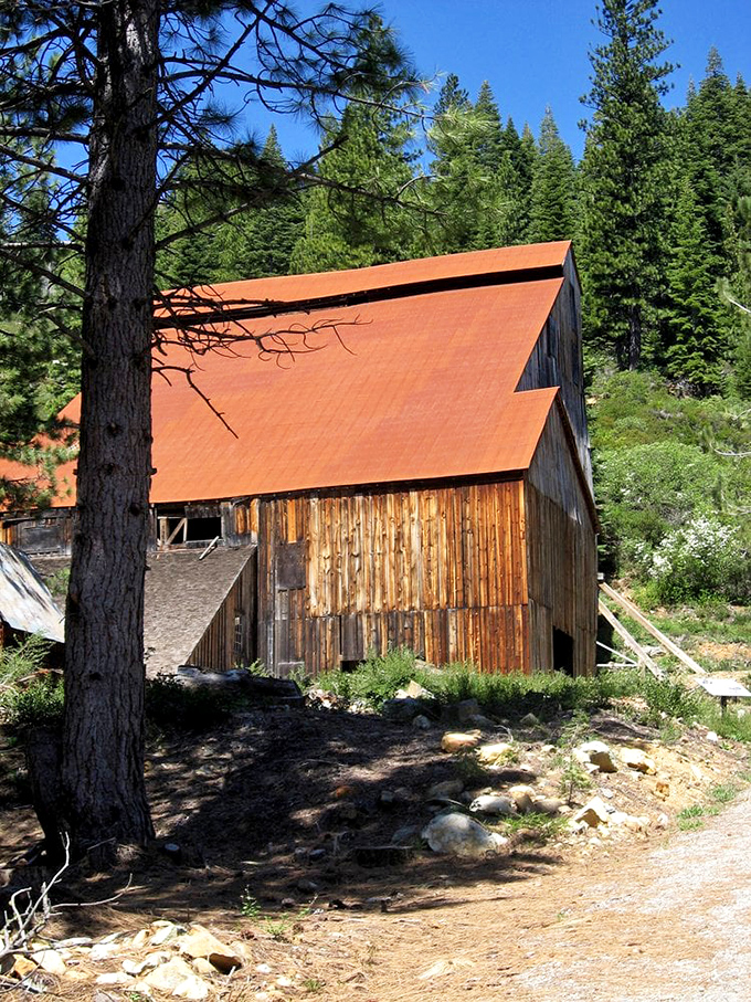 The historic Mohawk Stamp Mill stands as a wooden time capsule, telling gold rush stories that would make your history teacher weep with joy.