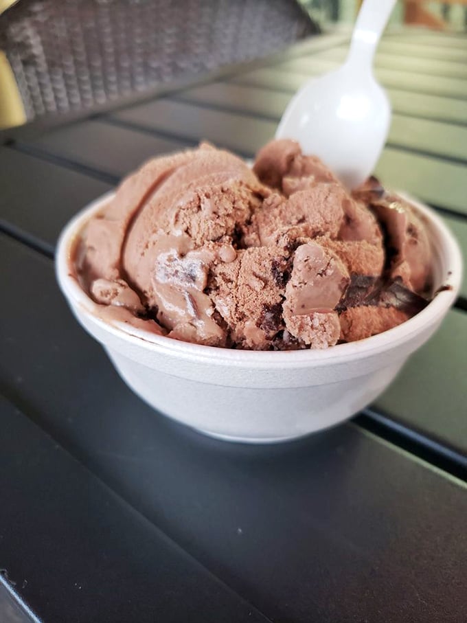 Chocolate that's so deeply committed to being chocolate, it deserves a lifetime achievement award. The perfect dessert for serious chocoholics.