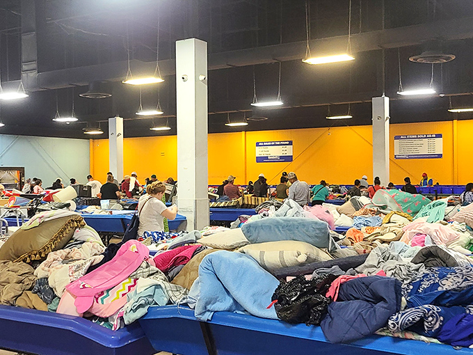 The thrill of the hunt draws shoppers from every walk of life. In this democratic jungle of discards, everyone's equal before the almighty bin.