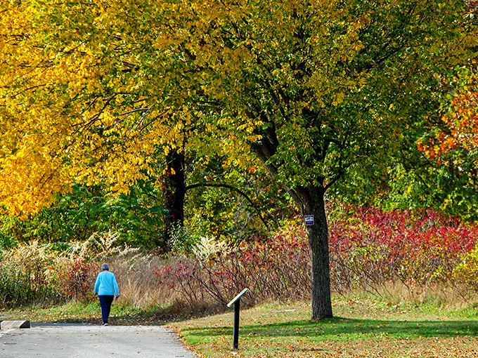 Fall foliage creates a painter's palette of yellows and reds, while a solitary walker demonstrates the simple pleasures of retirement done right.