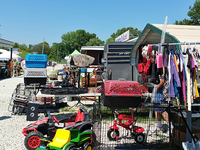 Childhood transportation department! These ride-on toys and pet carriers wait patiently for new little commanders and furry passengers.