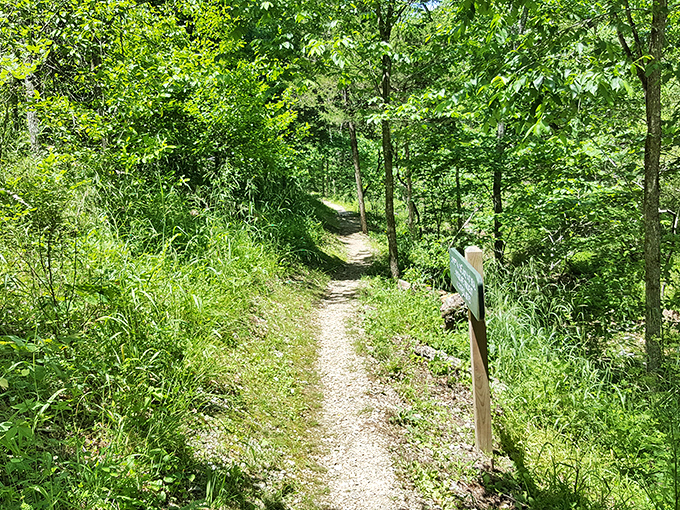 Trails that whisper rather than shout, inviting you to discover what lies around each bend. The original "choose your own adventure."