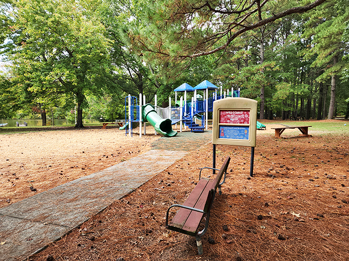 Kids' paradise meets parents' peace at this playground, where pine-scented breezes and forest shade make even adults want to take a turn on the slide.