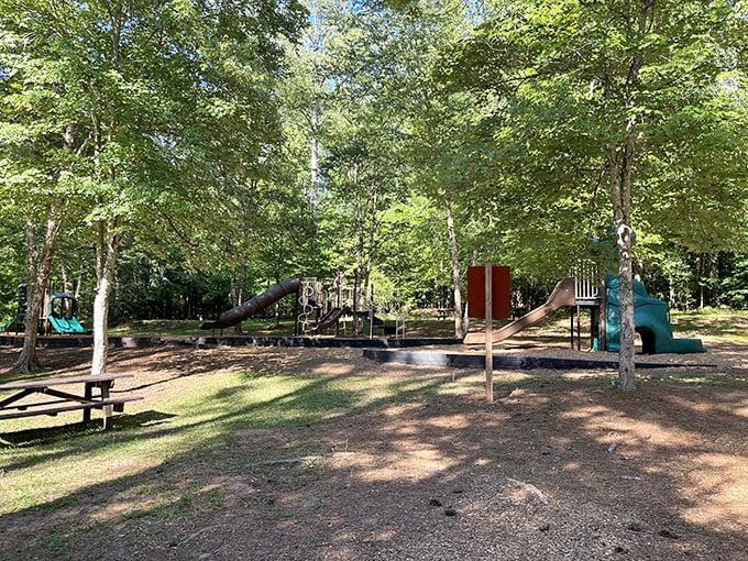 Where kids burn energy and parents get five minutes of peace&mdash;the universal language of playground joy.