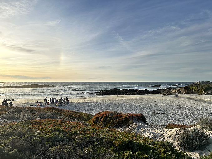 Golden hour magic transforms this beach into a painter's dream. Even the seagulls look like they're posing for their Instagram moment.