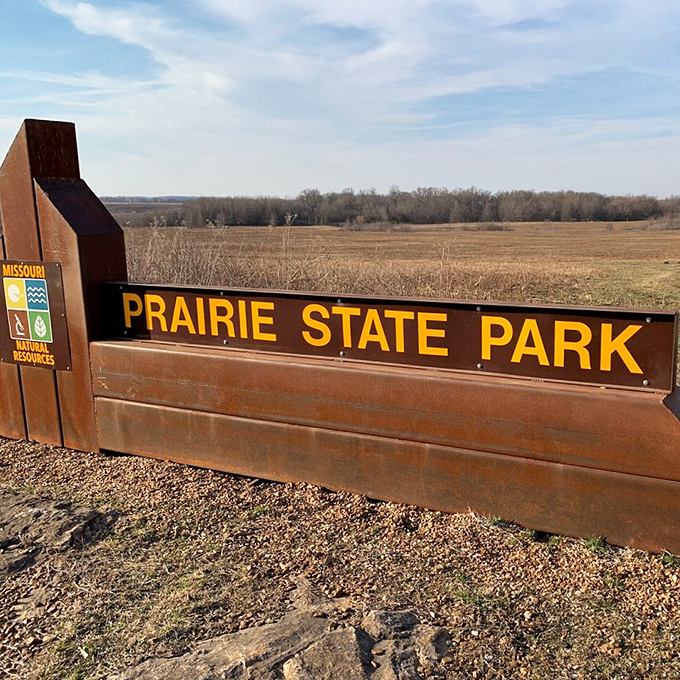 The park's entrance sign stands as a humble introduction to an extraordinary place. No neon needed when nature provides the show.