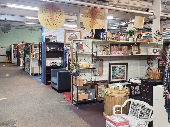 What looks like chaos to the untrained eye is actually a carefully orchestrated dance of display cases, clothing racks, and forgotten memories.