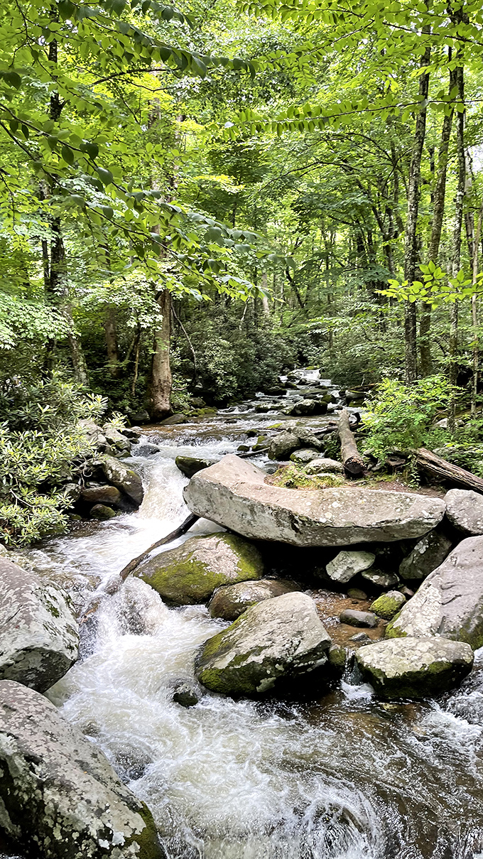 The journey offers its own rewards - each stream crossing like a miniature preview of the main attraction awaiting upstream.