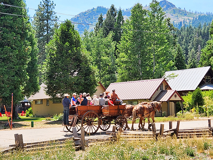 Time travel via horse-drawn wagon. These historic tours let you experience the Gold Rush era without the dysentery or claim-jumping.