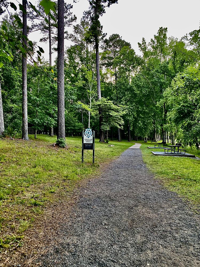The path less traveled, yet perfectly maintained. This trail invites exploration like a good book that won't let you put it down.