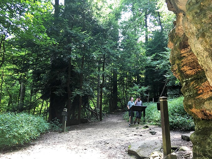 Trail junction conversations &ndash; where hikers gather to pretend they're checking the map while secretly catching their breath and planning snack breaks.