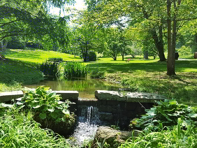 The Brandywine River doesn't just flow, it tells stories. These waters powered America's industrial revolution and now power our weekend escapes. 
