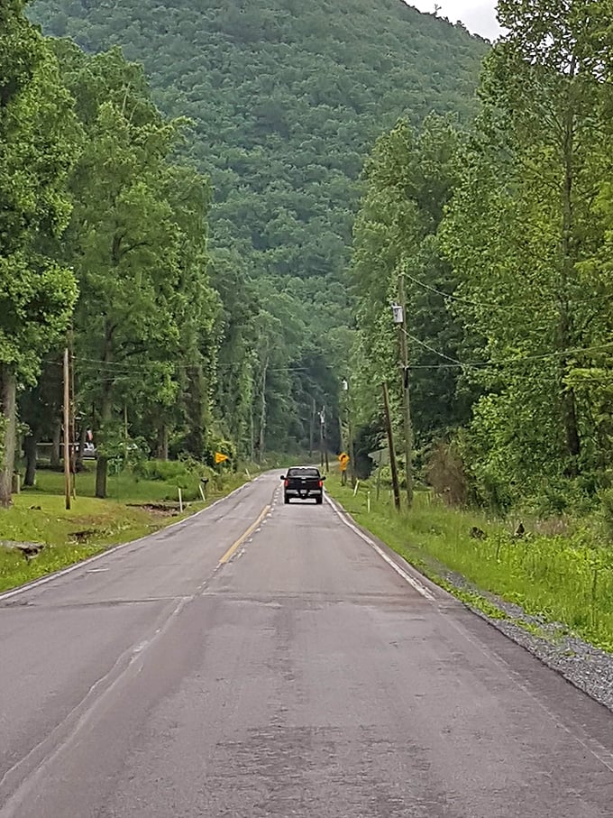 The road ahead promises more than just a destination. On the Bucktail Byway, the journey itself is the main attraction&mdash;complete with mountain-sized guardrails.