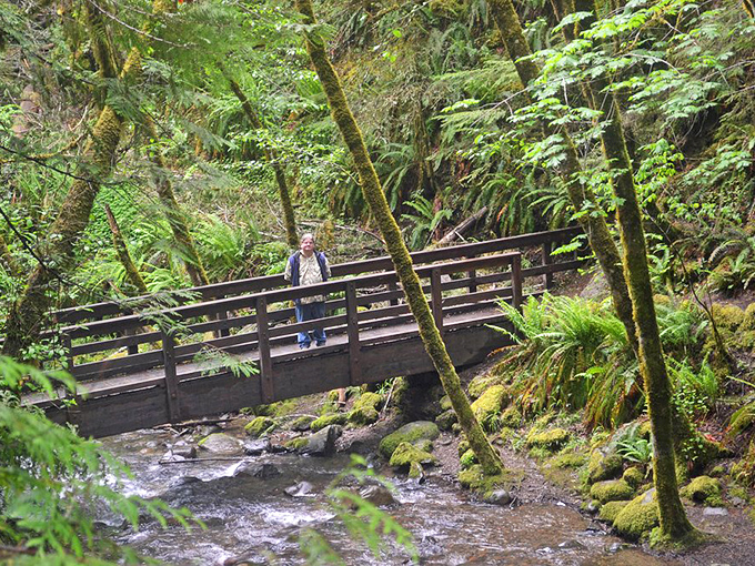 Crossing this bridge feels like stepping into a scene from "A River Runs Through It," minus Brad Pitt but with all the wonder.