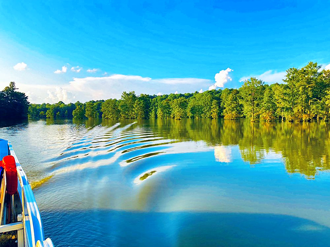 Ripples spread across the pond's surface as boaters explore the cypress-lined shores. Even the clouds seem to pause to admire the view.