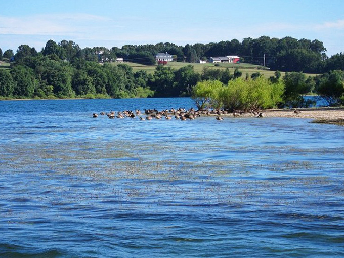 That magical moment when day surrenders to evening, painting Lake Marburg in golden hues that make even amateur photographers look good. 