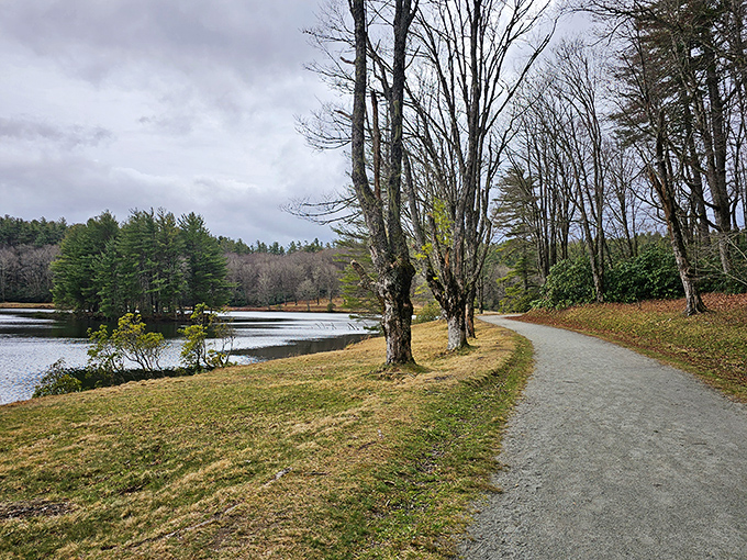 The trail curves ahead like the best stories do &ndash; with just enough mystery to keep you moving forward.