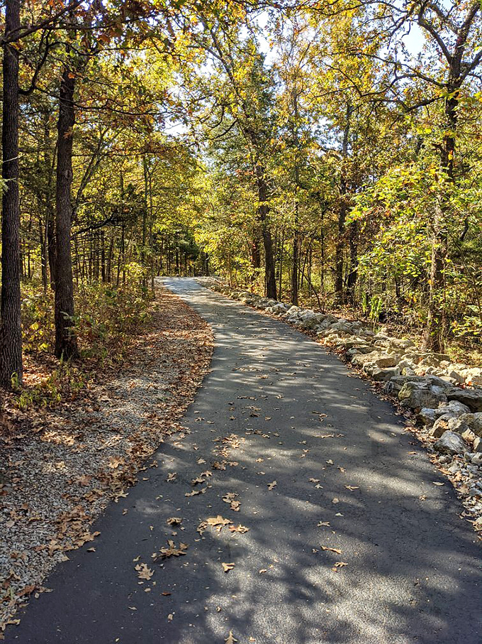 Dappled sunlight creates natural spotlight effects on the autumn trail. The fallen leaves add a rustic soundtrack to your journey&mdash;nature's version of surround sound.