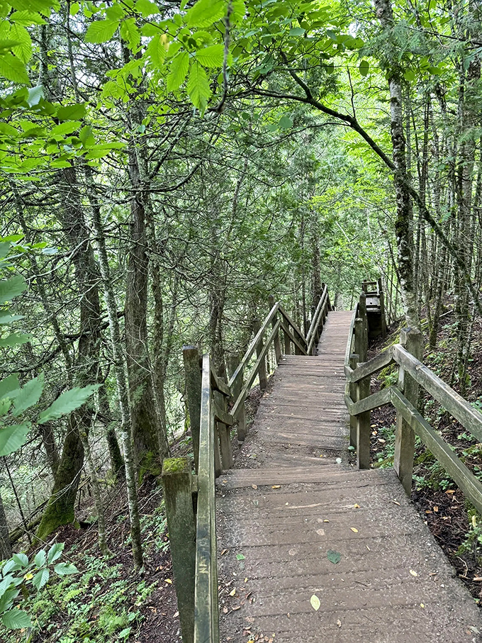 These wooden steps: Michigan's version of the Spanish Steps, but with significantly more trees and fewer tourists.