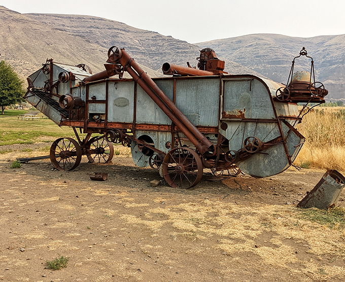 This antique threshing machine isn't just farm equipment &ndash; it's a rusty time capsule from when wheat, not recreation, was this land's primary purpose. 