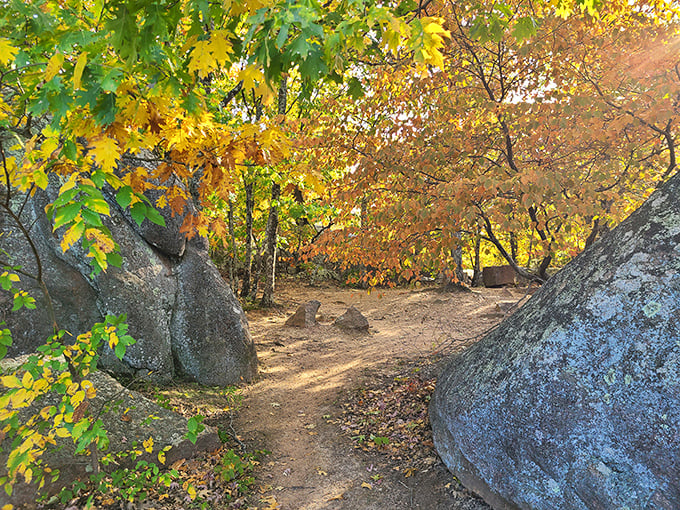 Fall's fiery palette transforms the ancient pathway between boulders, painting a seasonal masterpiece worthy of any gallery wall.