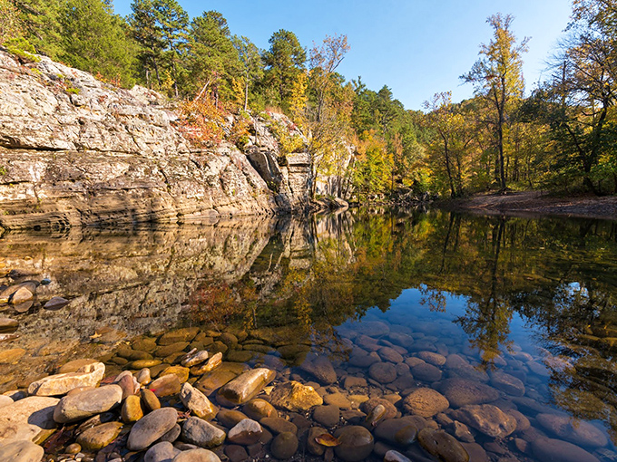 Autumn transforms the Buffalo River into nature's mirror, reflecting golden bluffs and creating a double dose of breathtaking beauty.