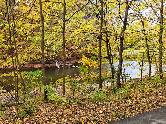 Fall transforms Sugar Creek into nature's paintbox, with colors so vibrant they make you wonder if someone's secretly adjusting the saturation.