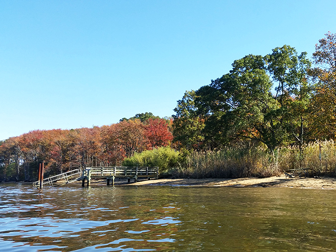 Fall transforms the island into a painter's palette of amber and crimson, proving that beach beauty isn't limited to summer months.