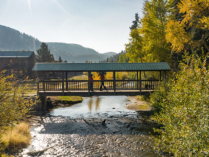 The covered bridge isn't just functional &ndash; it's nature's perfect frame for that "Yes, I actually went outdoors" social media post.