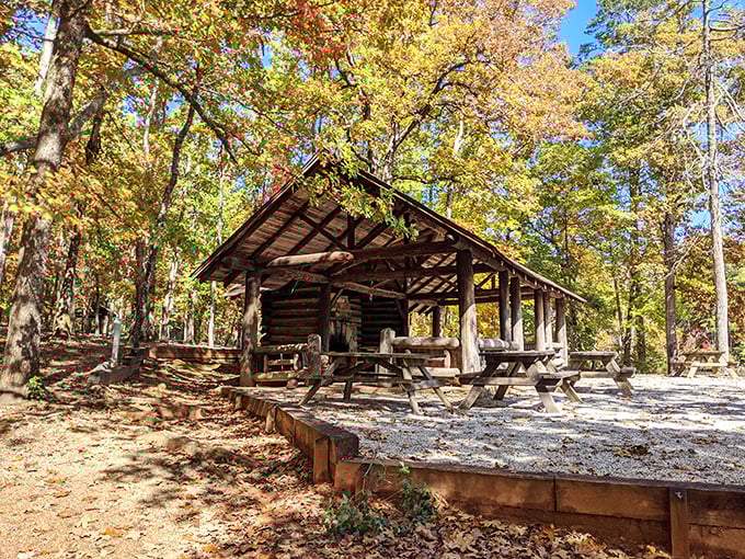 This rustic picnic shelter has hosted more genuine family moments than all your holiday dinners combined, minus the political arguments.