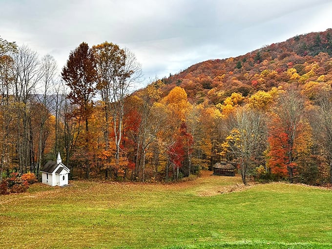 Fall in the Appalachians isn't just a season—it's a color explosion that makes you wonder if trees have been taking art lessons.