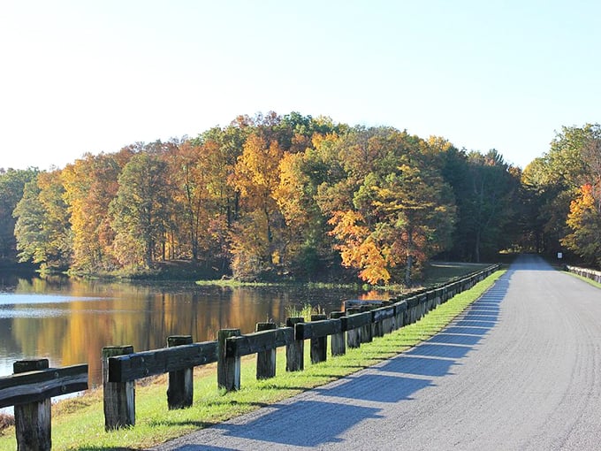 Autumn's golden hour along Shakamak's shores. Mother Nature's annual color palette upgrade makes even a simple road feel like a journey worth taking.