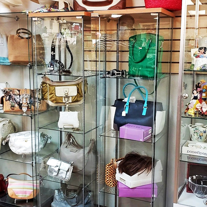 Designer bags without designer anxiety. Behind that glass lies the power to make any outfit instantly more interesting.
