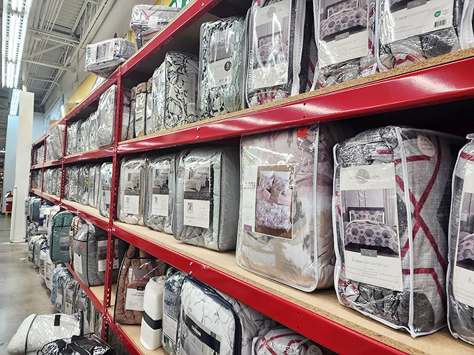 Bedding bonanza! Designer comforter sets that would make HGTV hosts swoon, all waiting to transform your bedroom without the premium price tag.