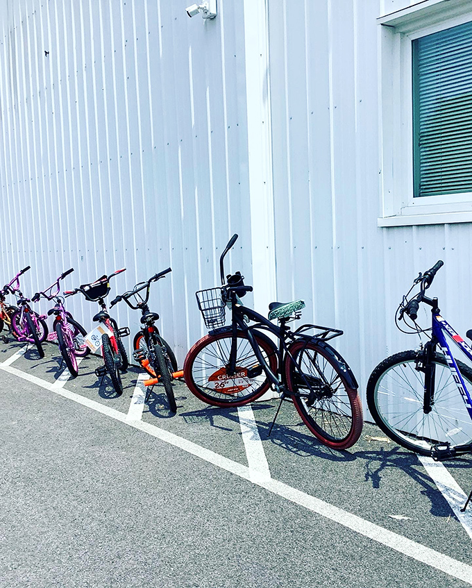 A lineup of bikes ready for family adventures down Pennsylvania's scenic trails. Pedal-powered fun that doesn't break the bank.