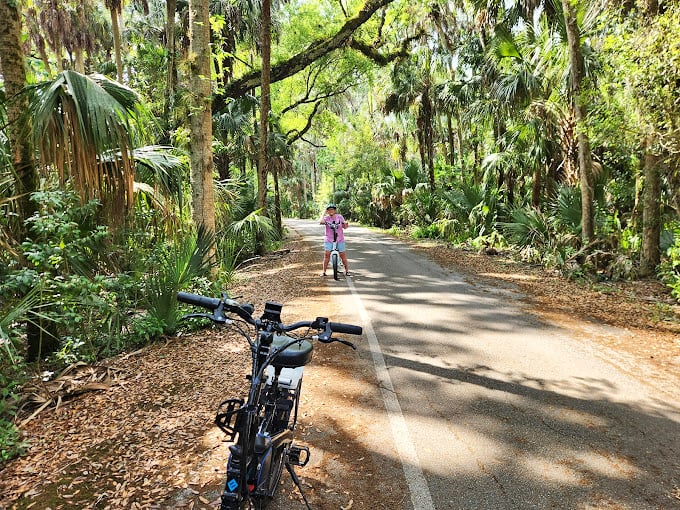 Cycling through cathedral-like canopies of Spanish moss and palm fronds beats any spin class you've ever taken.