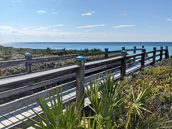 Dune walkovers protect fragile ecosystems while providing Instagram-worthy frames for that Gulf view your friends back home will quietly resent.