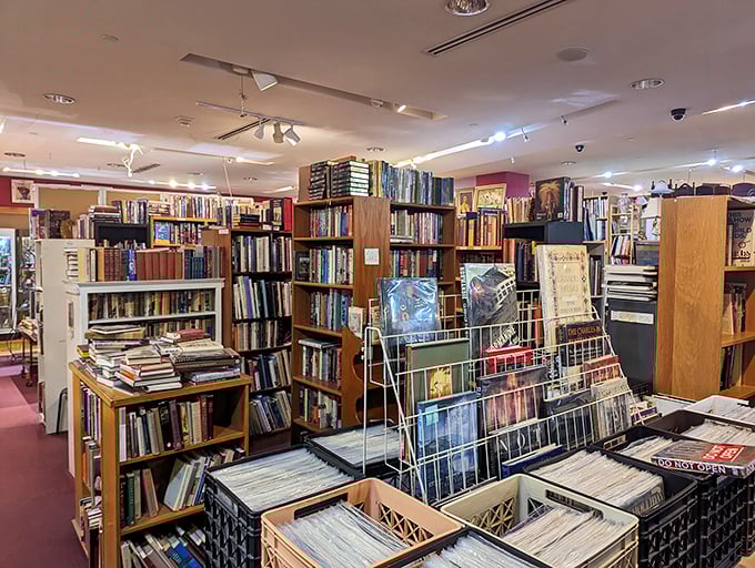 A bibliophile's paradise where forgotten stories wait for new readers. These shelves hold more adventures than a lifetime of Netflix.