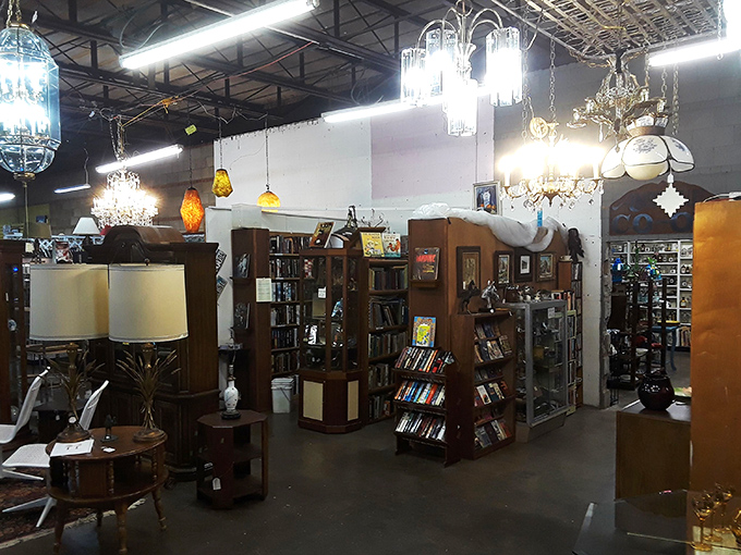 Chandeliers casting a warm glow over wooden bookshelves&mdash;like the library Beauty found in the Beast's castle, but with price tags.