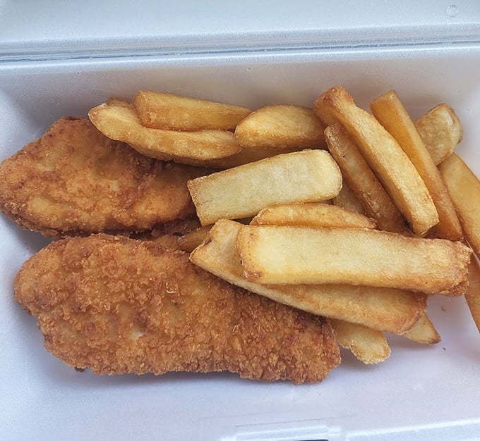 Golden-fried chicken tenders that would make Colonel Sanders weep with joy, alongside steak fries that redefine what a potato can be.