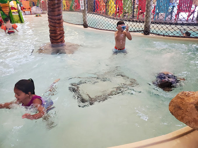 The shallow end&mdash;where future Olympic swimmers and cautious grandparents find common ground in waist-deep tropical bliss.