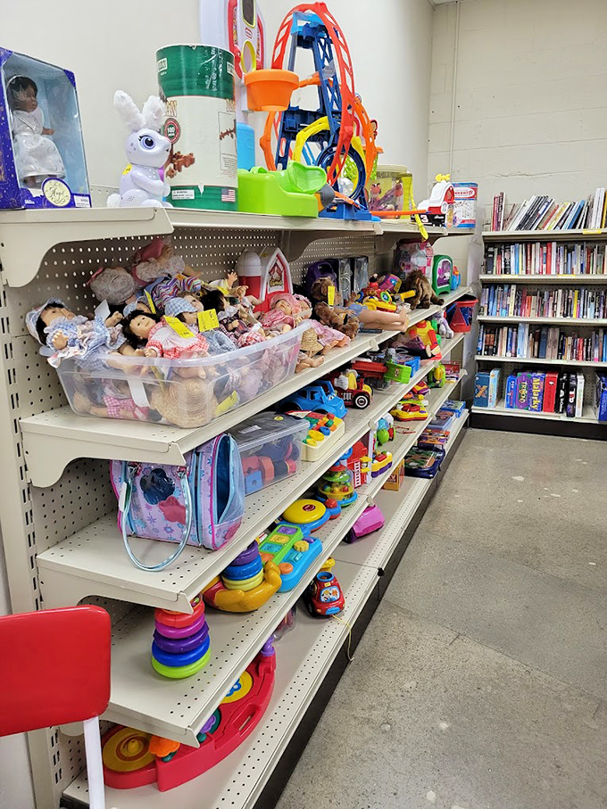 The toy section transforms adults into kids again&mdash;where obsolete plastic, forgotten franchises, and childhood classics find new homes and adventures.