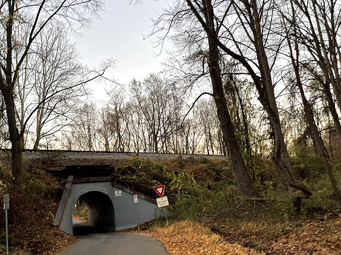 Fall's golden carpet leads to the bridge's mouth. Autumn visits bring crisp air and the distinct feeling you're being watched.