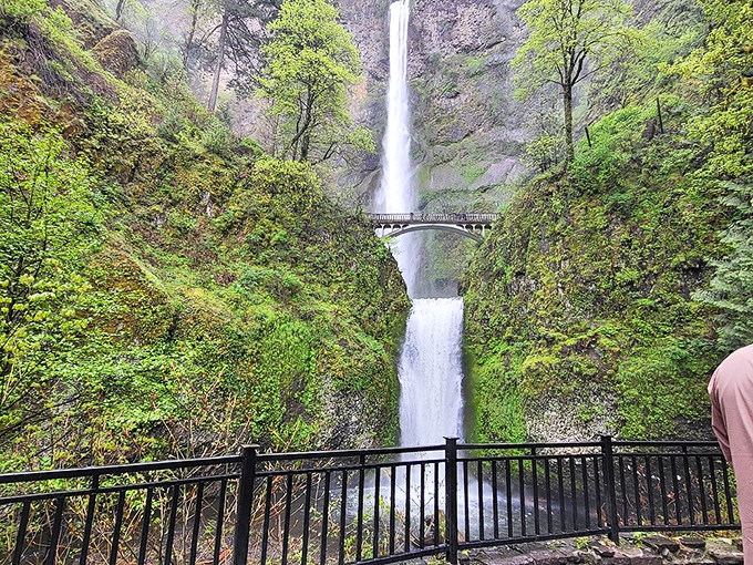 Hiking trails wind through the Columbia Gorge, offering views that make even the most dedicated couch potato consider becoming a nature enthusiast.