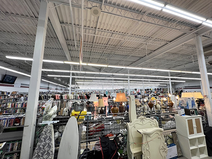 Ladies' clothing organized with military precision, where mannequins model possibilities and shoppers hunt for that perfect dress hiding among the polyester and silk.